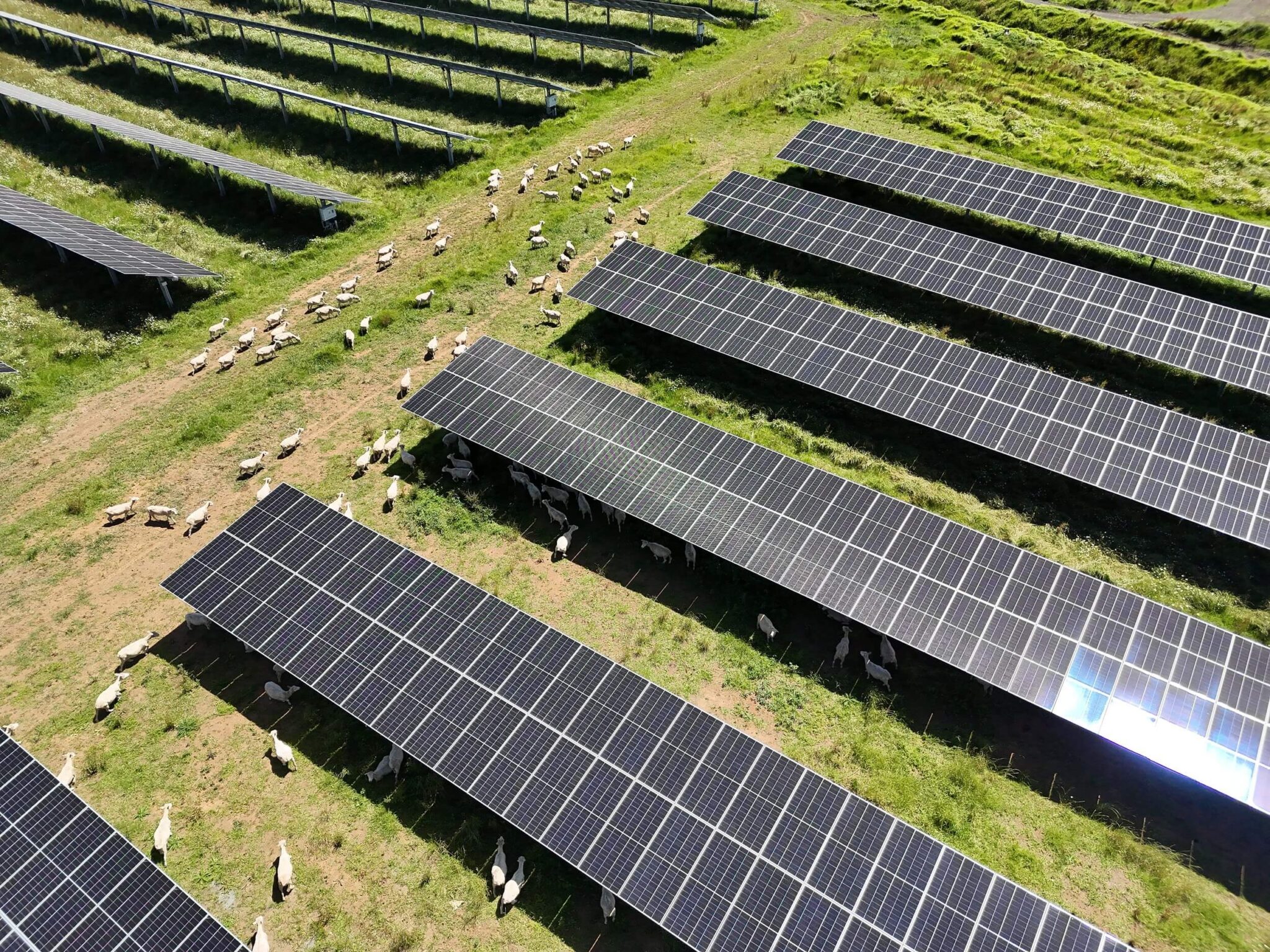 Home - Infratec New Zealand Limited.